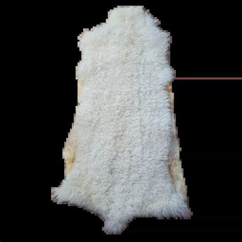 Lekure Deleje E Regjuar Pestiqe Albanian Flag