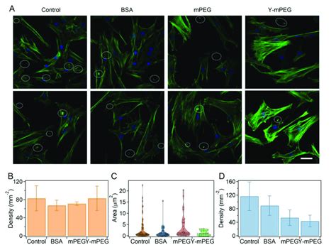 Blocking Nonspecific Interactions Using Y Mpeg In The Download