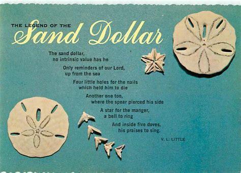 Sand Dollar Legend Printable Bernard