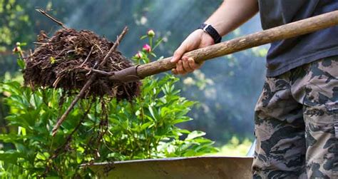 How To Add Compost To Soil The RIGHT Way