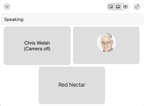 Re Keep Name Displayed In My Grid View When My Camera Is Turned Off