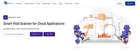 Openresty Inc Documentation