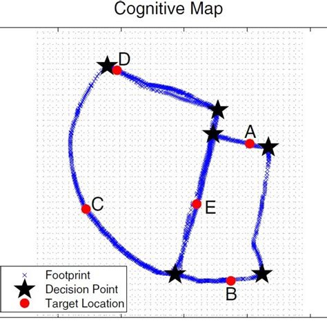 Cognitive Map Generated With A Version Of The Cognitive Map