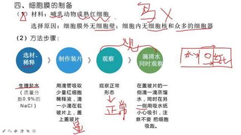 细胞膜 生物学术语 搜狗百科