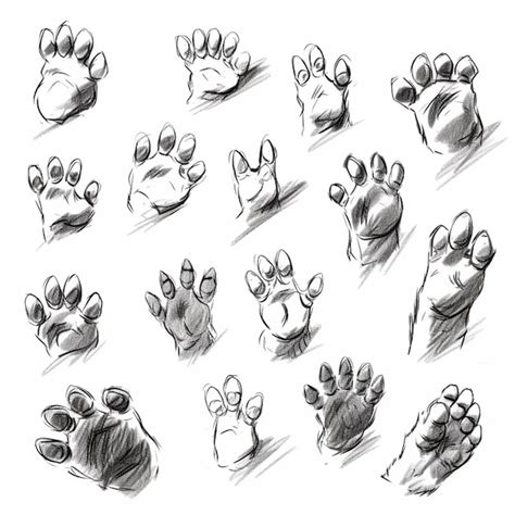 Un Dibujo De Una Pata De Gato Foto Premium