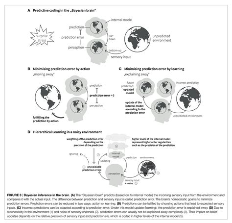 Theory The Bayesian Brain Hypothesis Explained Addspeaker