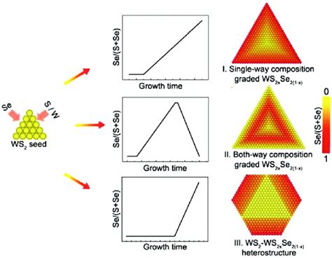 Schematic Diagrams For The Growth Of Single Way Composition Graded Ws