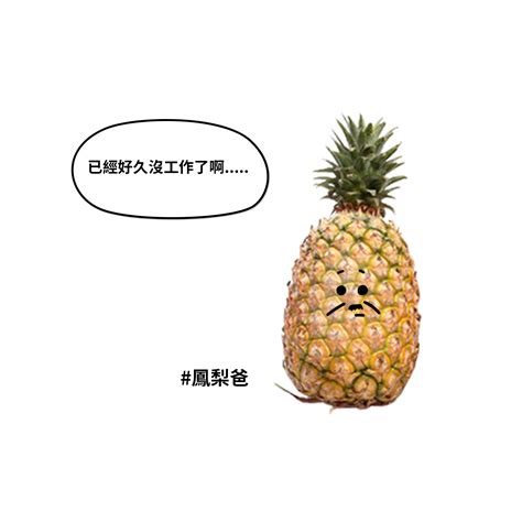 鳳梨世家 【必吃夏威夷披薩 Vs 夏威夷披薩去死】 地獄廚神戈登拉姆齊超級討厭鳳梨披薩🍍🍕