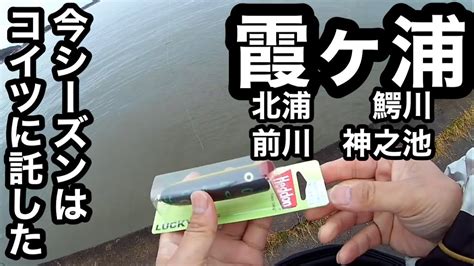 春バス初バス釣れてますか今週のバス釣り霞ヶ浦水系おかっぱり2023年3月14日 釣り動画