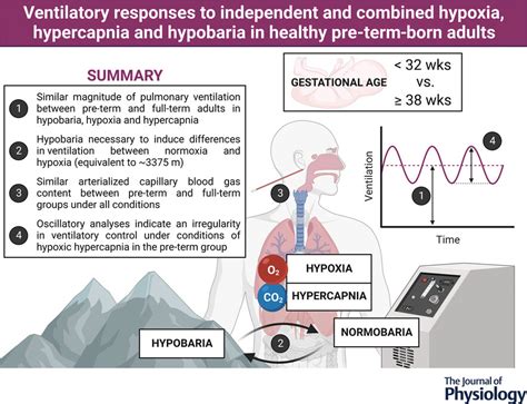 Ventilatory Responses To Independent And Combined Hypoxia Hypercapnia