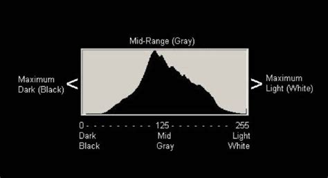 How To Read A Histogram Videomaker