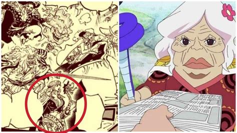 Fakta Tritoma One Piece Ratu Amazon Lily Sebelum Hancock Duniaku Com