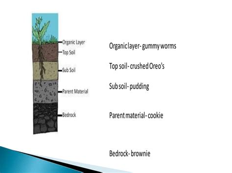 Layers Of Soil PPTX