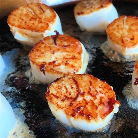 What Are Diver Scallops Lobsteranywhere