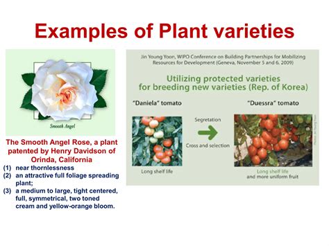 Ipr Types With Examples Pdf Chemistry Science