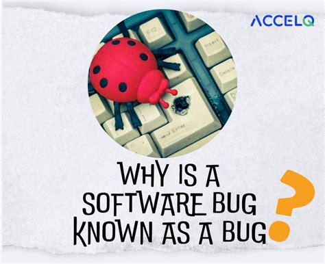 Accelq On Linkedin Bug Coding Testers Softwaretesting Error Engineering