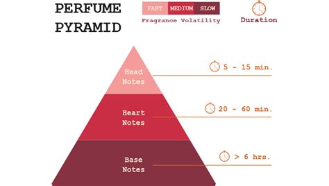 What Is A Fragrance Pyramid Hofmann Marketing