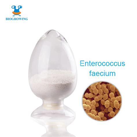 Enterococcus Faecium Dogs At Bette Reese Blog