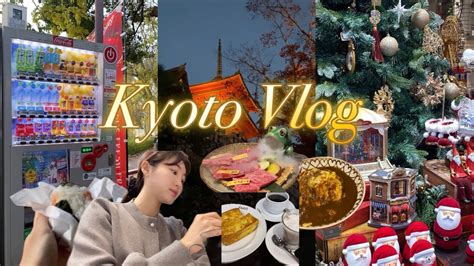 [임신vlog] 22주차 친구와 교토 오사카 여행ㅣ트레블월렛 사용법ㅣ이온atmㅣ이코카 카드ㅣ하루카 기차ㅣ교토 야끼니꾸ㅣ니시키