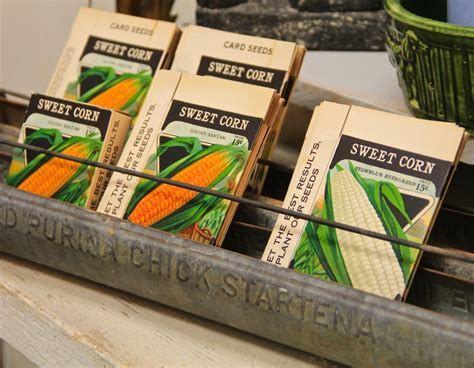 Found In Ithaca Sweet Corn Seed Boxes