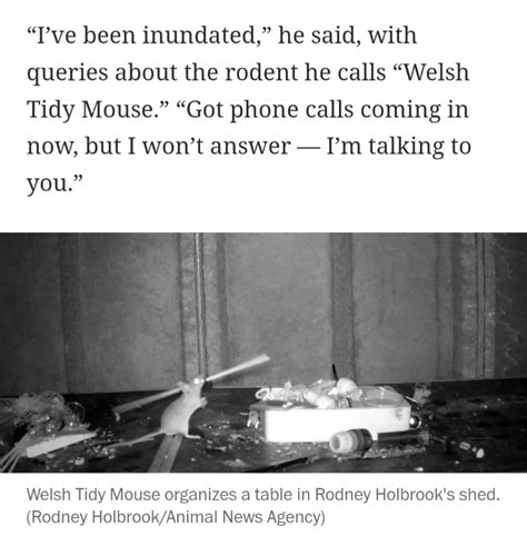 Luv Me Mouse Luv Me Shed He Ates Me Mess Nd I Ate Me Phone R Okmatewanker