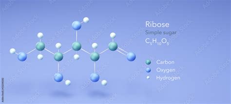 Ribose Molecular Structures Simple Sugar 3d Model Structural Chemical Formula And Atoms With