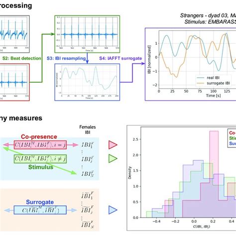 data analysis a pipeline for the processing of the electrocardiogram