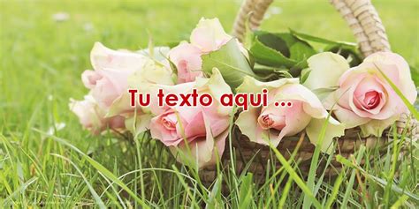 Crea Felicitaciones Personalizadas Con Texto Cumpleaños