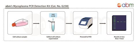 黴漿菌快速 Pcr 偵測套組 Mycoplasma Pcr Detection Kit Abm 貨號 G238 太鼎生技