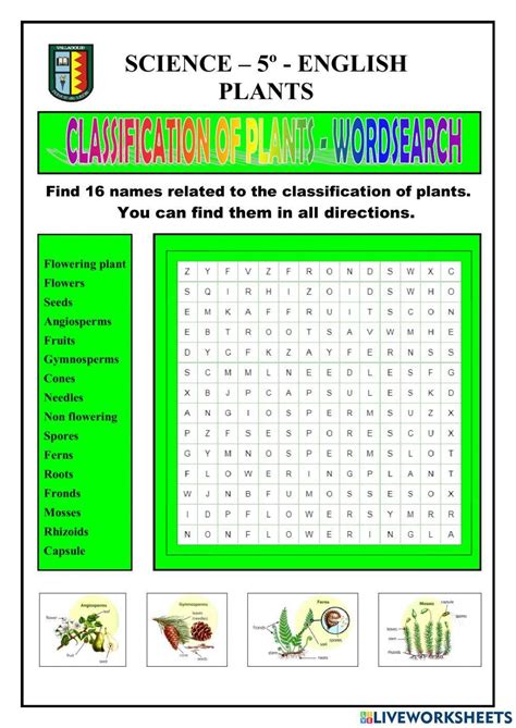 Classifying Plants Interactive Worksheet