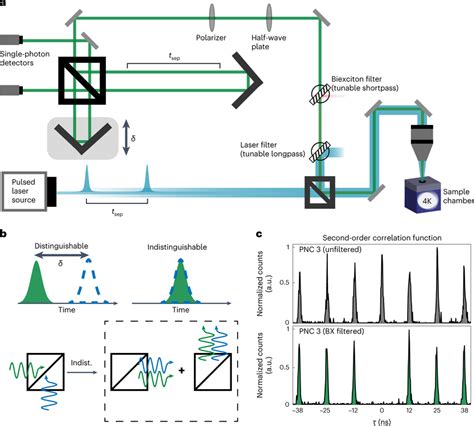 Hongoumandel Interferometry And Biexciton Filtering A Laser Pulse Download Scientific
