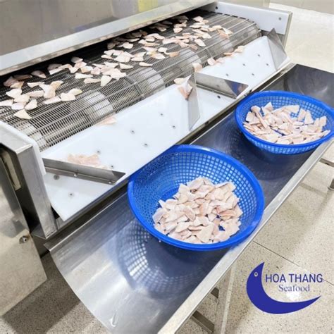 Frozen Itoyori Cut Fillet Iqf