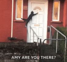 When Theres A Knock At The Door Meme When Theres A Knock At The Door