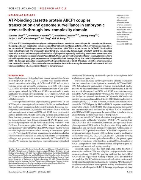 Pdf Atp Binding Cassette Protein Abcf1 Couples Transcription And Genome Surveillance In