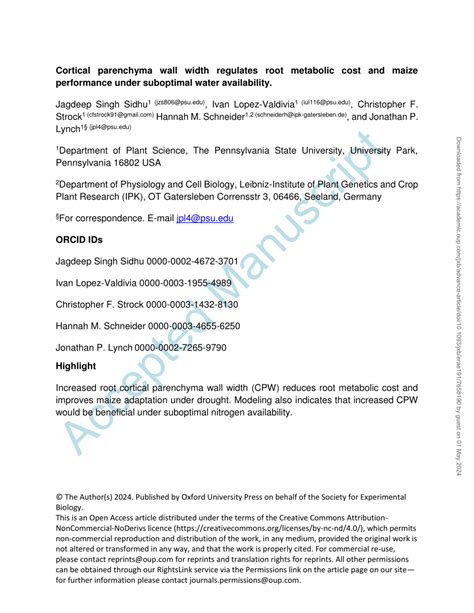 Pdf Cortical Parenchyma Wall Width Regulates Root Metabolic Cost And Maize Performance Under