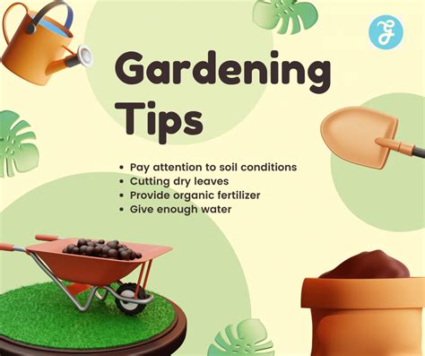20 Amazing Health Benefits Of Gardening With Infographics