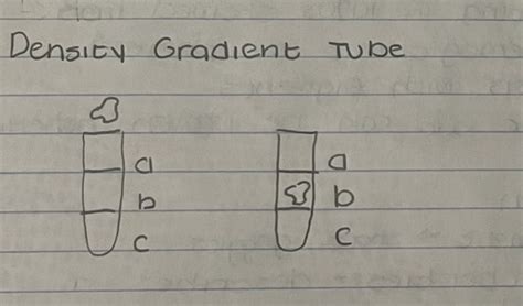 Chemical Applications Flashcards Quizlet Chemical Applications Flashcards Quizlet
