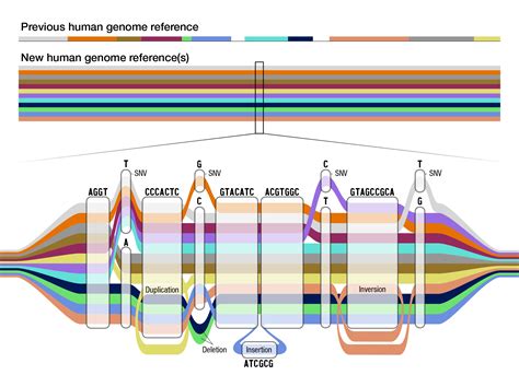 Human Genetic Map