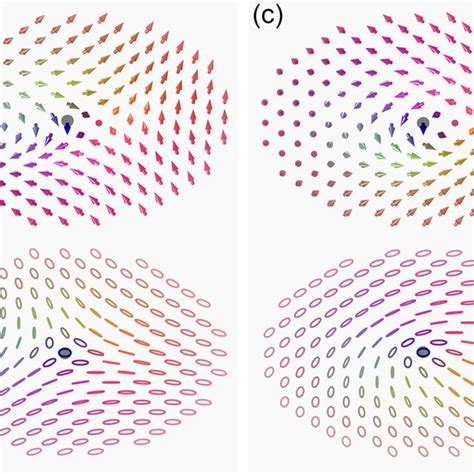 Polarization Distribution Depicted As A Vector Field Sxy Top Row Download Scientific