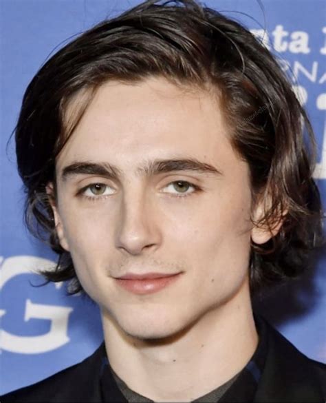 Pin De Maya Chalamet Em My Timmi