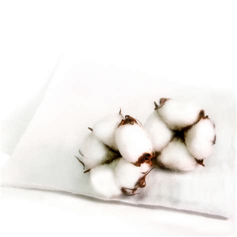 Tipos De Tela De Algodón Las Propiedades Y Beneficios T A L Ú