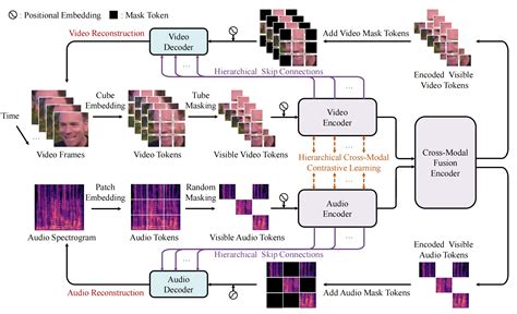 hicmae hierarchical contrastive masked autoencoder for self supervised audio visual emotion