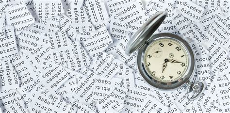 Explainer What Is The Molecular Clock