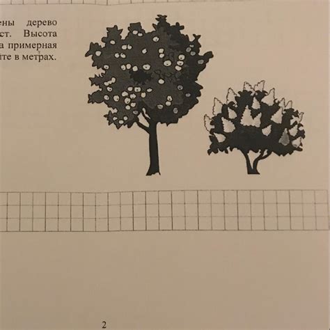 на рисунке изображены дерево и растущий рядом куст Высота куста равна 1 5м Какова примерная