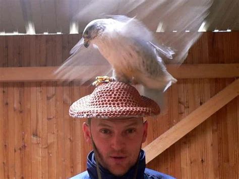 Introducing Falcon Sex Hats They Re Real And They Re Spectacular Barstool Sports