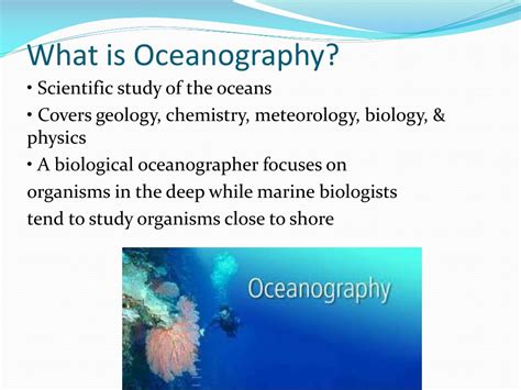 Oceanography Vs Marine Biology