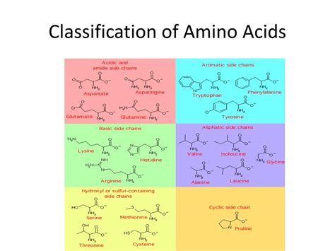 Amino Acids Structure Classification And Function