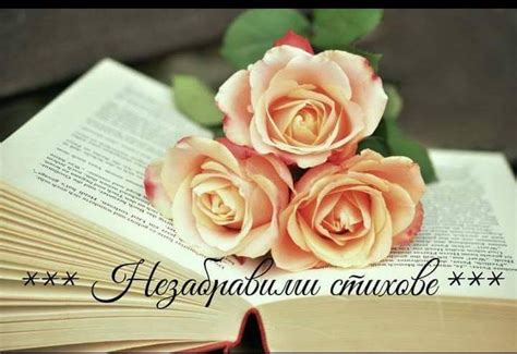 Незабравими стихове Facebook