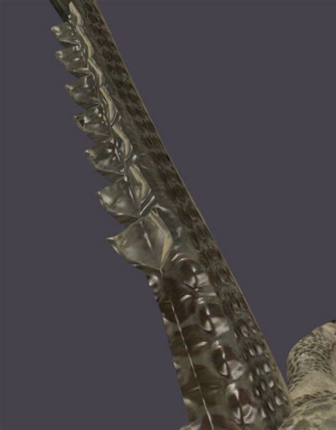 Tailtopoldpngca5ab7411c402ac4ead138db42b95407png