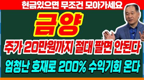 금양 금양주가 주가 20만원까지 절대 팔면 안되는 이유 엄청난 호재로 주가 200 수익기회 온다 에스엠랩 상장 이슈까지 주가 난리난다 Youtube